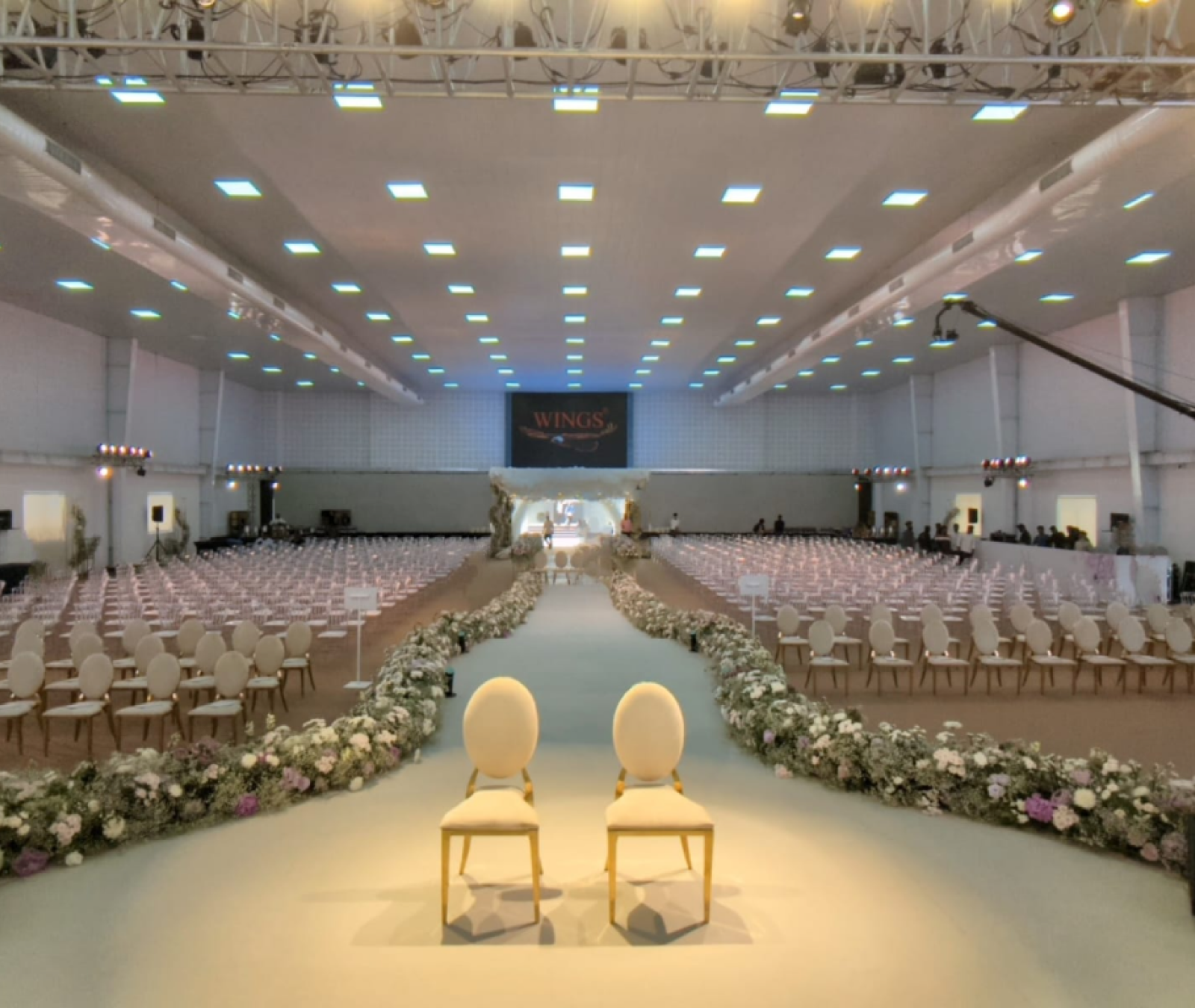 Wings Arenas – Wings Promos
